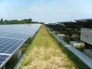 TTS Green Trough T-Junction | Trough-Tec Systems